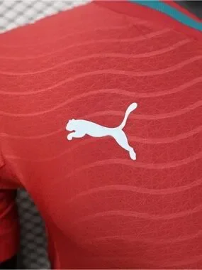 Puma | Shirts | Player Version 226 Portugal Home Football Jersey World ...